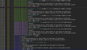 Hacking a WordPress Botnet